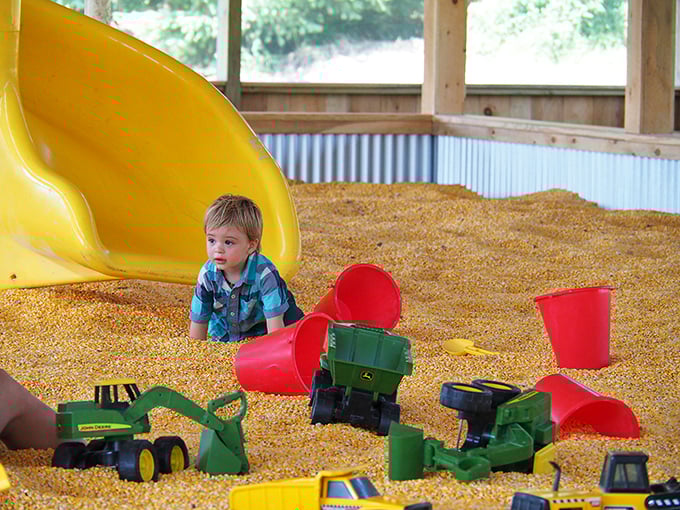 The Corny Barn offers a unique sensory playground where kids dive into thousands of smooth kernels&mdash;nature's stress-relief therapy disguised as fun.