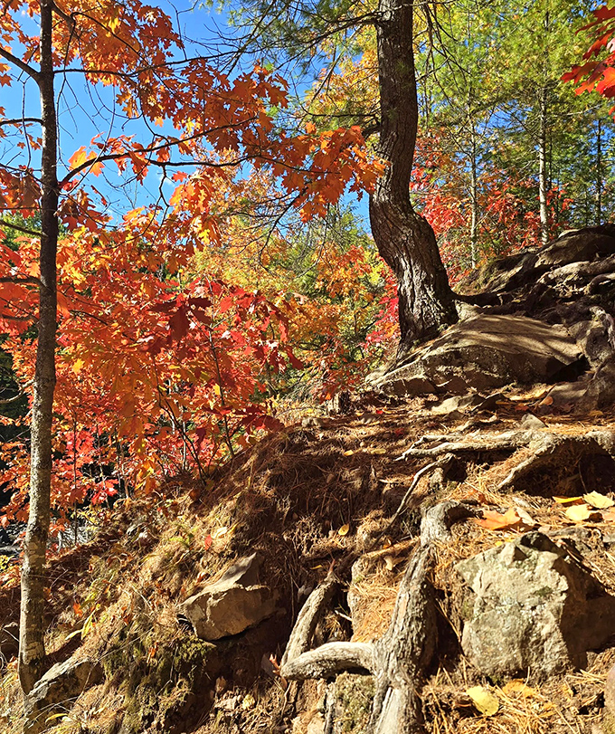 Autumn's grand finale: Fall foliage creates a fiery backdrop against rugged terrain, showcasing Michigan's seasonal transformation in all its glory.