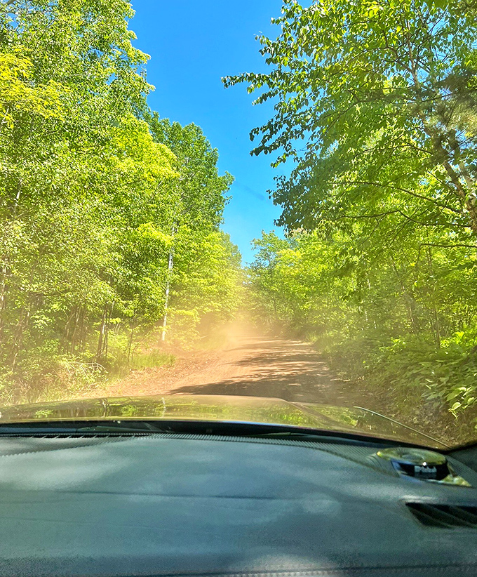 Sunlight filters through a green canopy, turning this dusty forest road into a magical passage that whispers, "Slow down, the journey matters."