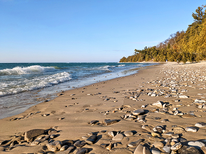 Beach therapy in session: where smooth stones and golden sand create nature's own reflexology path along Michigan's stunning coastline.