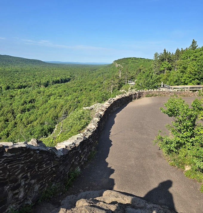 Standing at this scenic overlook feels like being on top of the world, with endless forest rolling away like a rumpled green blanket.
