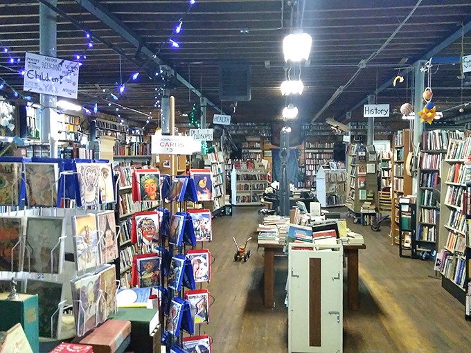 The music section invites vinyl enthusiasts to flip through history one album at a time, each cover a miniature art gallery.