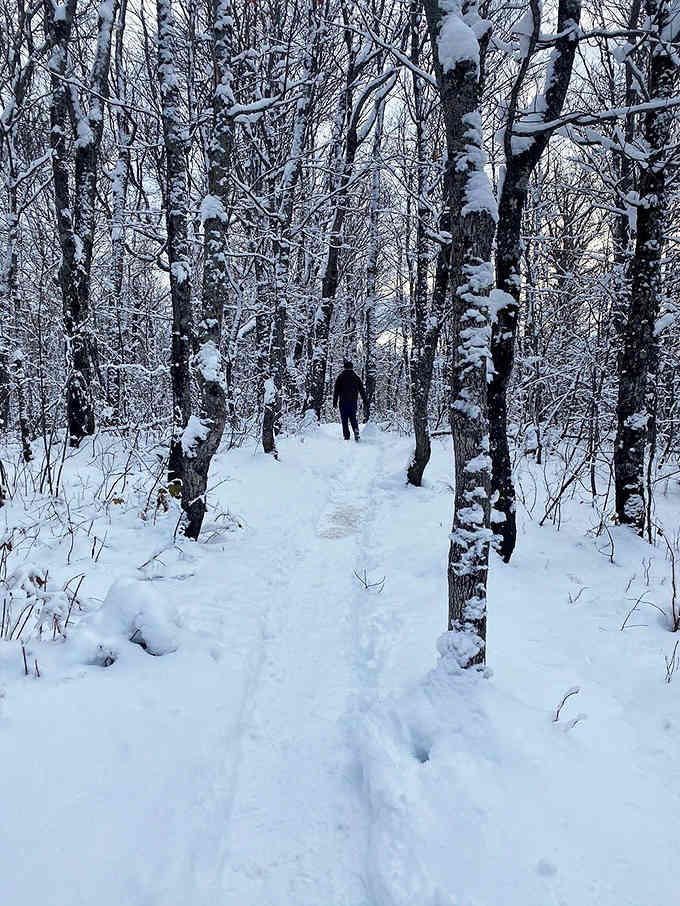 Snow-covered trail: A solitary figure ventures through winter's silent embrace, leaving footprints that will vanish with tomorrow's snowfall.