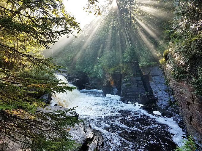Divine lighting! Sun rays break through the canopy, spotlighting the rushing waters like nature's own Broadway production.