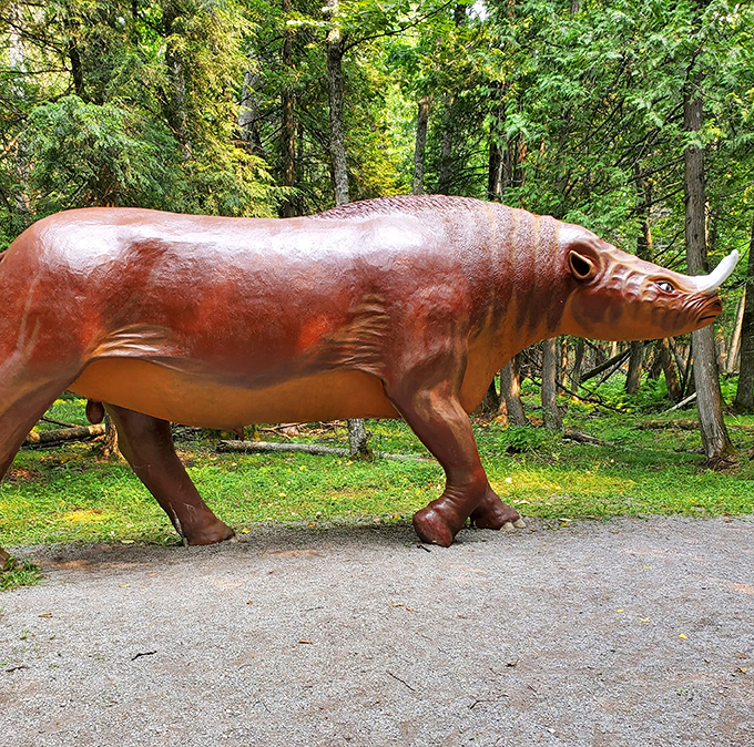 The Titanothere stands with the quiet dignity of something that knows it's not quite a dinosaur but appreciates the invitation.