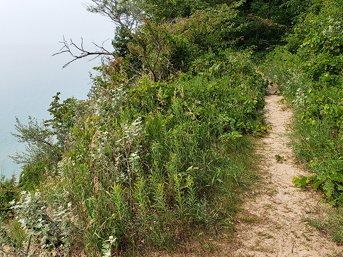 Trails wind through forests that feel like secret passages, leading adventurers to discoveries that make every twist and turn worthwhile.