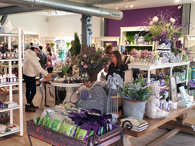 Inside the gift shop, browsers discover lavender in forms they never imagined, from culinary delights to soothing remedies.