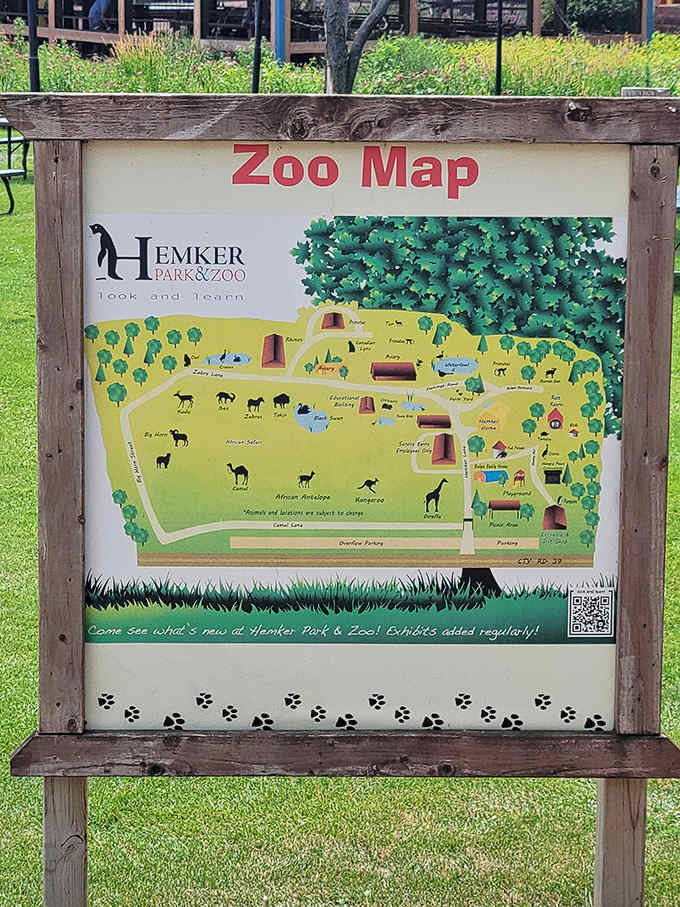 Adventure mapped out: Hemker's thoughtful layout ensures you won't miss any of the zoo's remarkable residents.