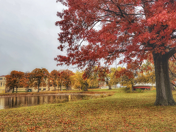 Fall transforms Belle Isle into a painter's palette of crimson and gold, reflecting in still waters and creating nature's most spectacular mirror image.