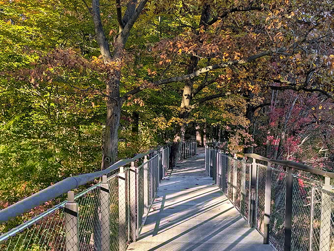 Sunlight filters through the wooden slats, creating mesmerizing patterns that change throughout the day.