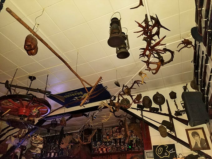 Look up! The ceiling serves as a suspended museum of antique tools, animal antlers, and vintage equipment that defies gravity and categorization.