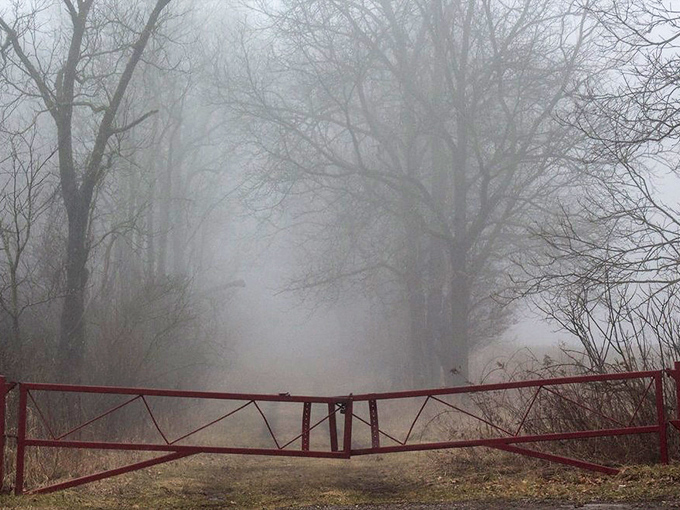 When fog descends on Seven Gables Road, the boundary between this world and others grows thin enough to touch.