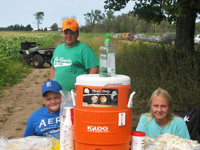 Young entrepreneurs learn the lemonade stand business basics, offering refreshing drinks to sunflower-dazzled visitors.
