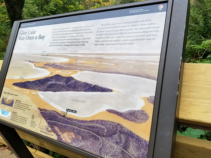 "Glen Lake Was Once a Bay" – educational signage reveals the ancient geological forces that sculpted this unique landscape.