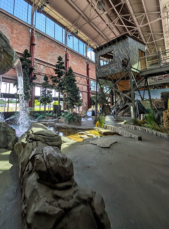 From this vantage point, the scale of the indoor wilderness becomes clear&mdash;an entire forest ecosystem contained within historic brick walls.