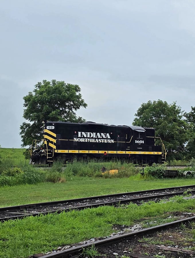 Indiana Northeastern No. 1601 shows off its muscular black and yellow livery, a diesel powerhouse with stories of its own.