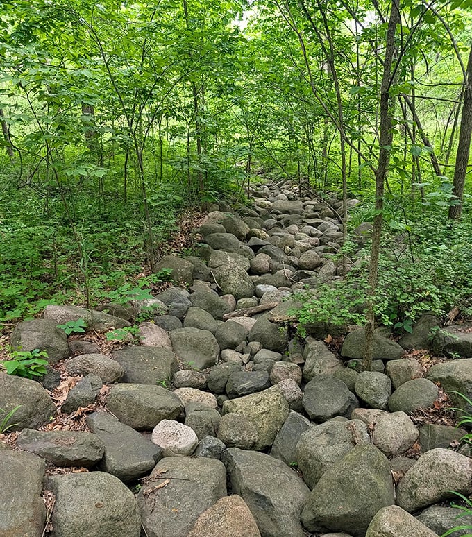 Not just rocks – nature's own obstacle course, arranged over centuries by the world's most patient landscape designer.