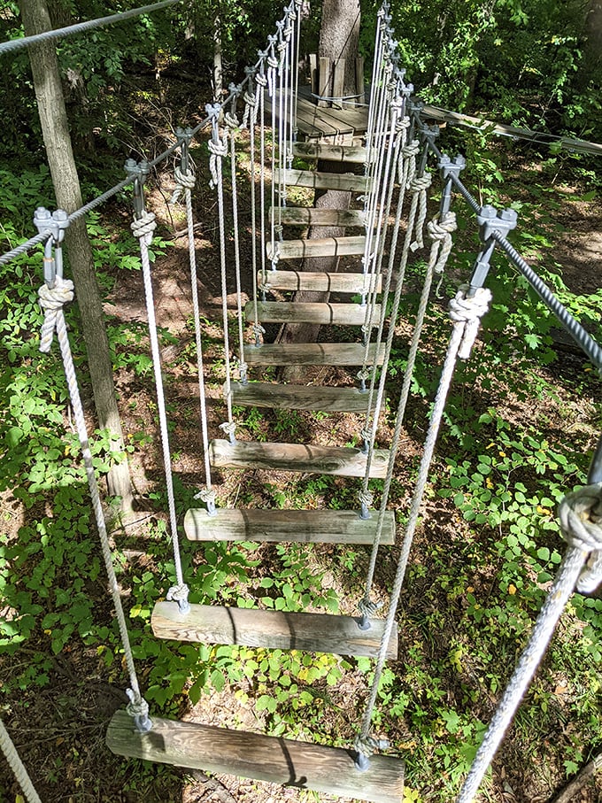 This deceptively simple rope bridge teaches visitors that walking is actually a complex skill we've taken for granted.