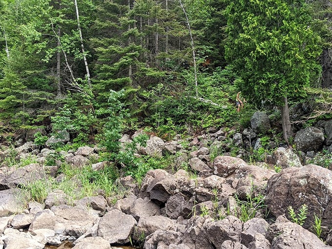 Look at this incredible Minnesota scenery! Gotta work up an appetite climbing these beautiful rocks before finding a great meal.