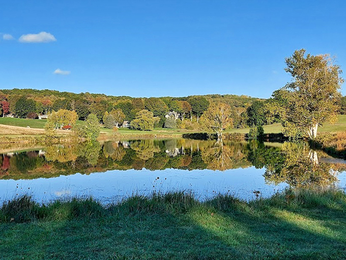 Mirror-like waters create perfect reflections of autumn's palette, doubling nature's artistic display for appreciative onlookers.