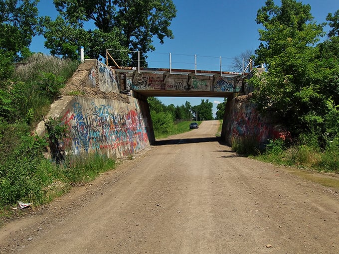 Late afternoon sun casts long shadows, creating dramatic lighting that photographers find irresistible throughout different seasons.