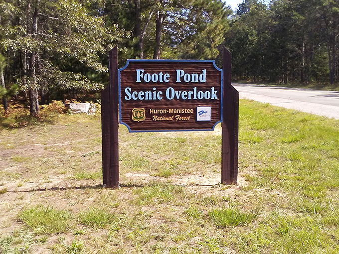 The sign that promises adventure ahead, like a movie poster for a blockbuster starring trees, water, and that feeling of being wonderfully small.