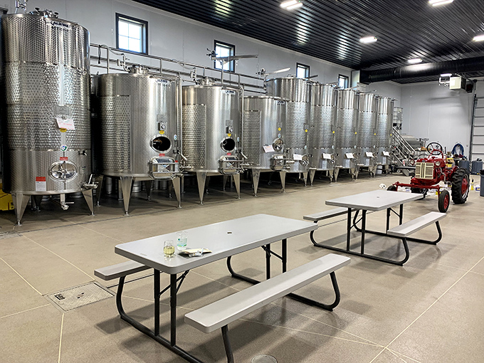 Stainless steel tanks and serious winemaking equipment prove this operation produces real wine, not just tourist trap novelty in fancy bottles.