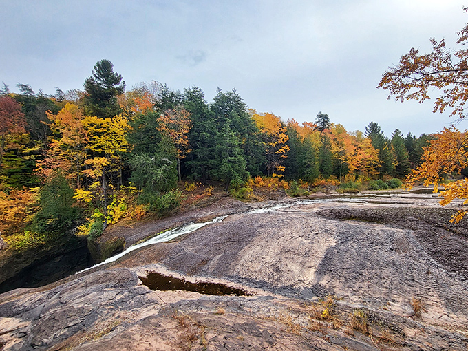 Fall's golden touch transforms the forest into a painter's palette, creating a fiery backdrop for the cool, rushing waters.