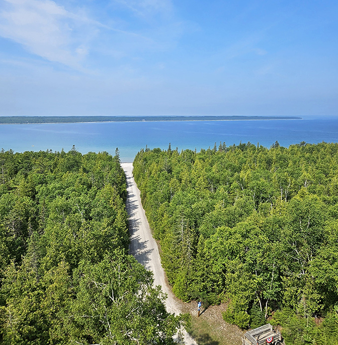 From lighthouse height, the forest path cuts a perfect line to the water, like nature's own welcome mat.