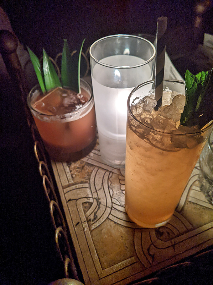 Amber liquid catches the light like liquid gold, while fresh garnishes add both visual appeal and aromatic elements that enhance the drinking experience.