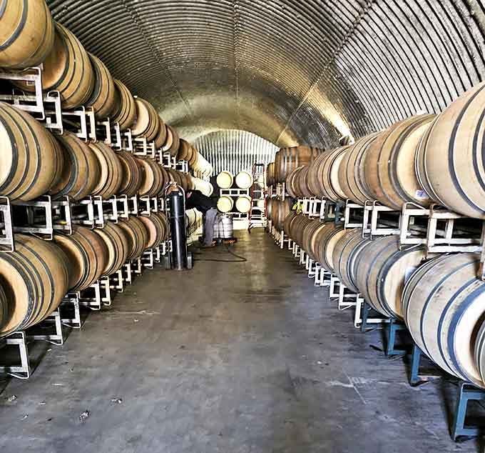 The barrel room feels like a cathedral of aging wine, where oak vessels cradle future vintages in cool, dim splendor.