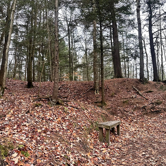 A simple wooden bench offers the perfect spot for contemplation, surrounded by autumn's carpet of fallen leaves.