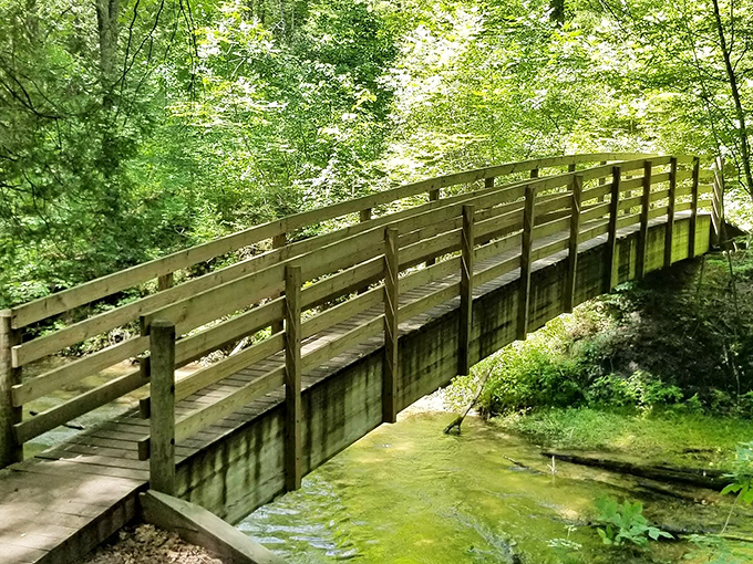 This wooden footbridge seems to float through the greenery, offering dry passage while preserving the delicate ecosystem below.