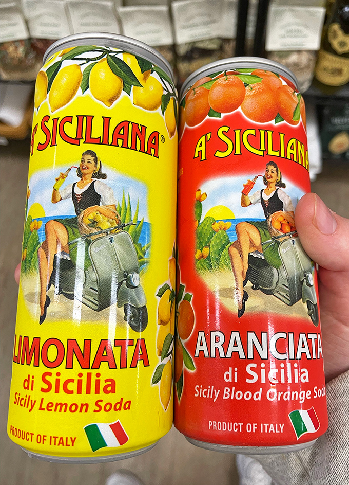 These vibrant Italian sodas transport your taste buds straight to Sicily &ndash; sunshine in a can that makes Michigan winters feel a little more Mediterranean.