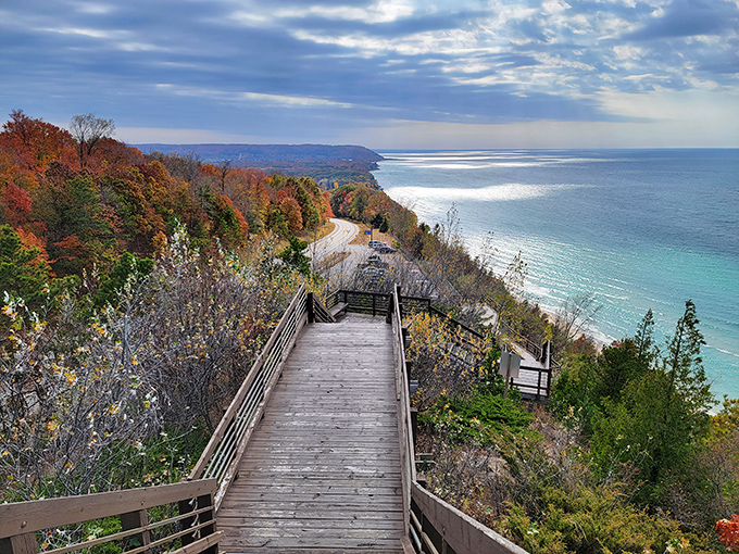 Multiple viewing platforms mean you can pick your favorite angle, though honestly, trying to choose feels like picking a favorite child.