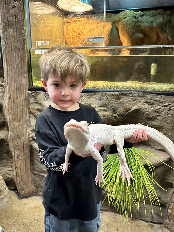 Another young visitor discovers that reptiles aren't scary when you actually meet them, just misunderstood creatures needing better public relations.