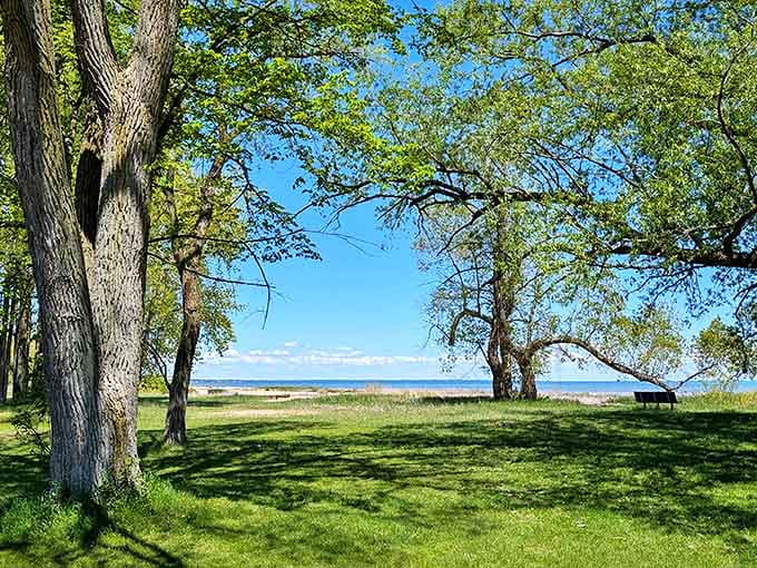 Bay City State Park's shoreline offers that perfect meeting of forest and beach &ndash; where towering trees stand just steps from golden sand.