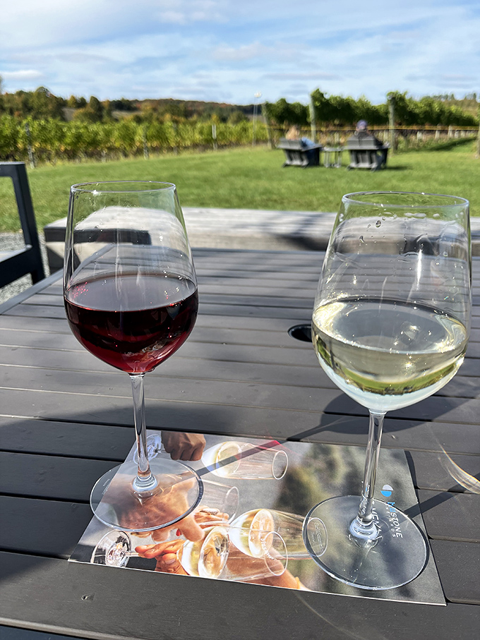 Wine glasses frame vineyard views at Blustone Vineyards &ndash; where Michigan proves it can do Napa Valley impressions with its own midwestern twist.