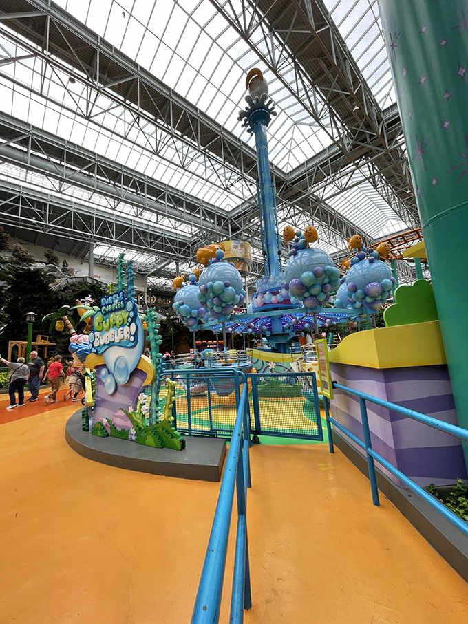 The Bubble Guppy ride delivers gentle thrills for the smallest visitors, proving you're never too young to begin a lifetime of amusement park joy.