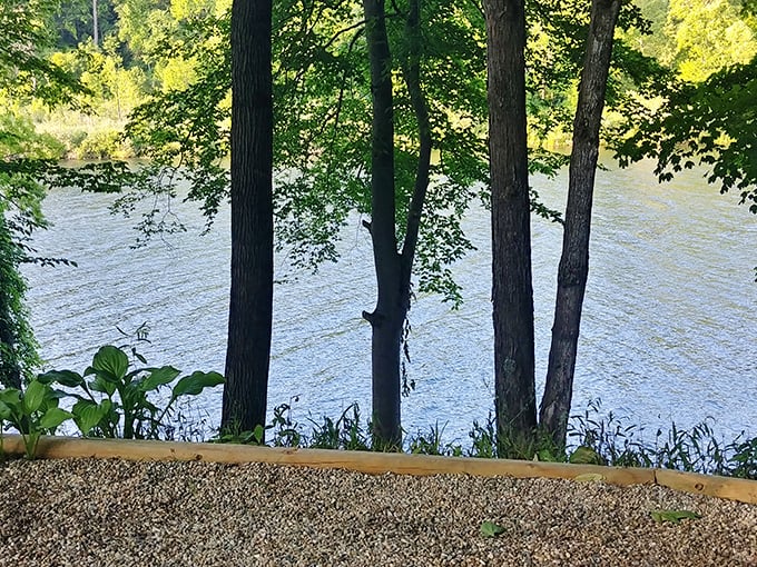 Quiet shade and gentle river breezes create a relaxing hideaway at Bear Cave RV Campground, perfect for slow mornings and unhurried nature time.