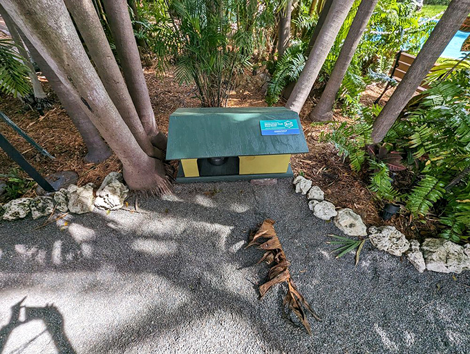 Even the cats live in style &ndash; these miniature Hemingway homes house descendants of the author's beloved six-toed companions.