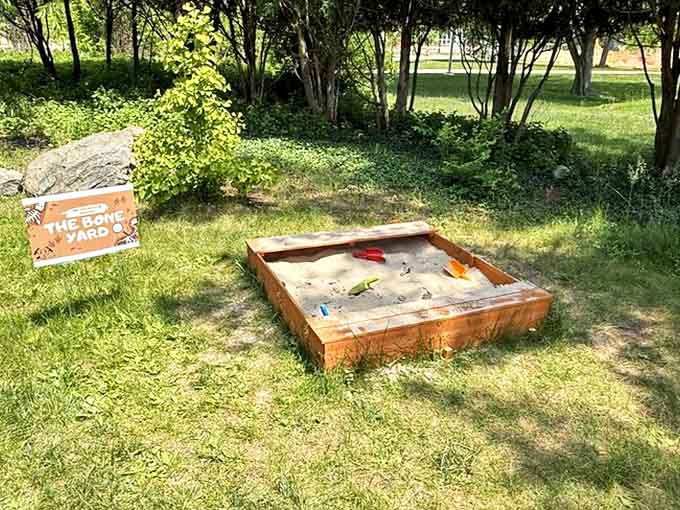 The Bone Yard sandbox invites young explorers to try their hand at fossil excavation &ndash; paleontology's gateway drug.