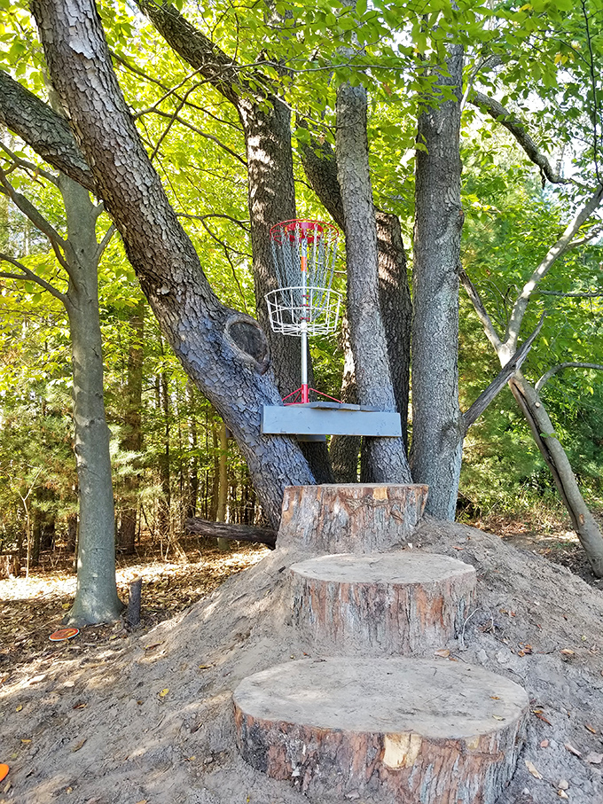 Disc golf challenges nestled among trees offer a peaceful counterpoint to water activities, where the perfect throw becomes a meditation in motion.
