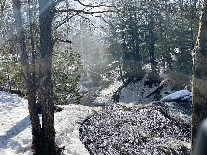 Snow blankets the winter landscape in pristine white, while the persistent stream below refuses to surrender to the cold.