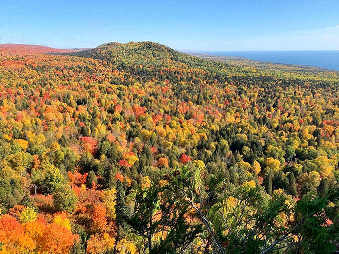 Forest overlooks lake: Nature's perfect composition – a tapestry of autumn colors frames the serene blue eye of a hidden lake.