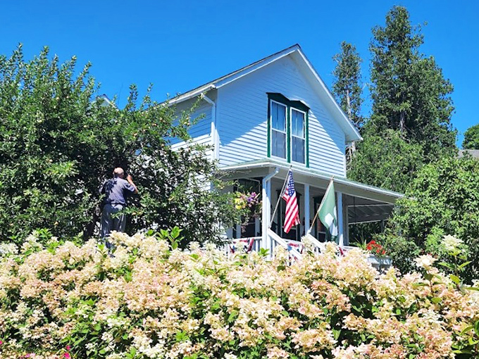 Garden View: Hydrangeas frame this charming island cottage where someone is definitely living their best life among blooming gardens.