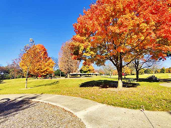 Hudson Mills Metropark offers 1,500 acres where nature sets the agenda and visitors trade screen time for stream time.