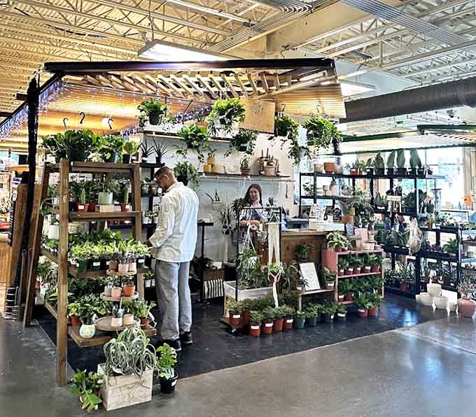The indoor plant shop offers leafy retail therapy &ndash; because sometimes the only thing better than fresh food is fresh oxygen.
