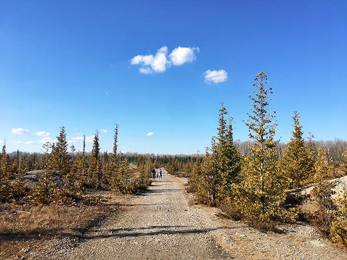 The winding path through reclaimed quarry land invites visitors to discover geological treasures around every turn.