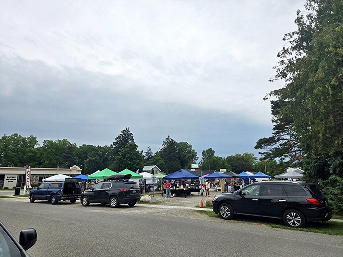 MargaritaFest: Weekend markets bring the community together, as colorful tents and local treasures create a festive atmosphere along Lexington's streets.